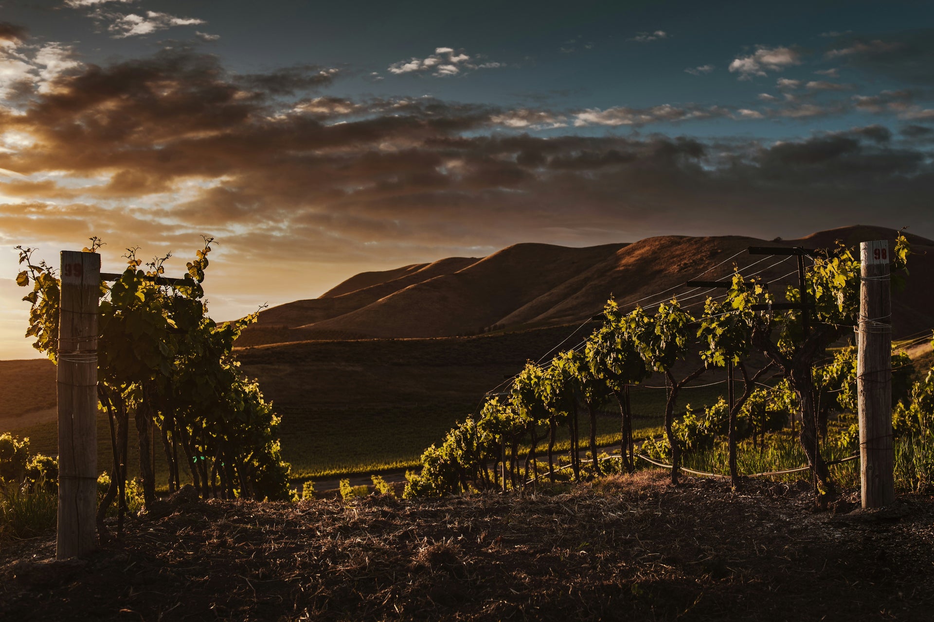 Contact Us (NEW) – Discovery Wines & Spirits